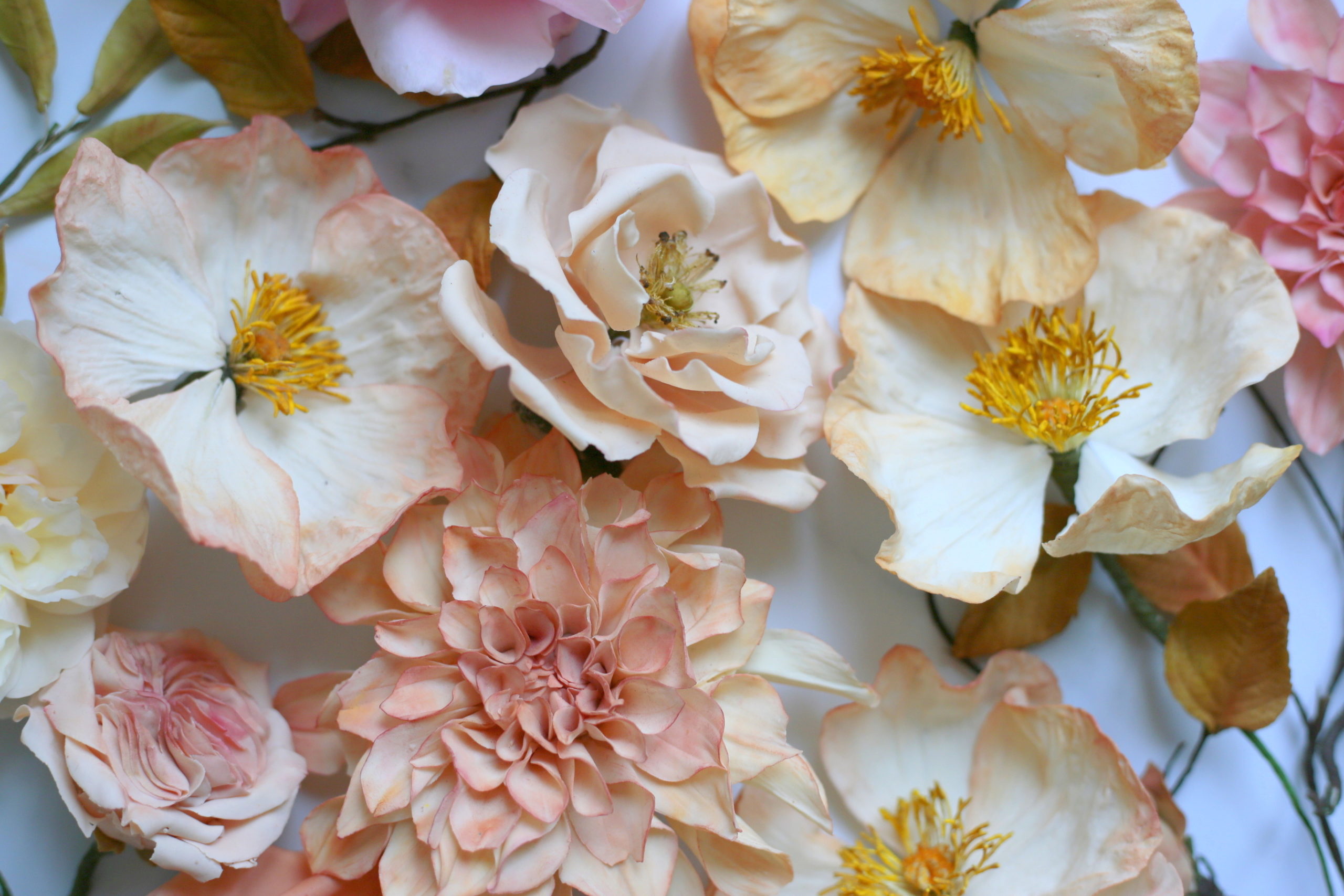 Sugar Flowers - Bouchra Sugar Designer